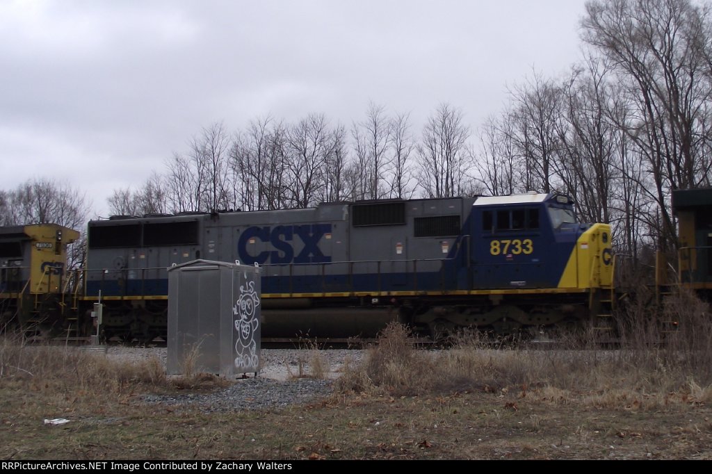 CSX 8733